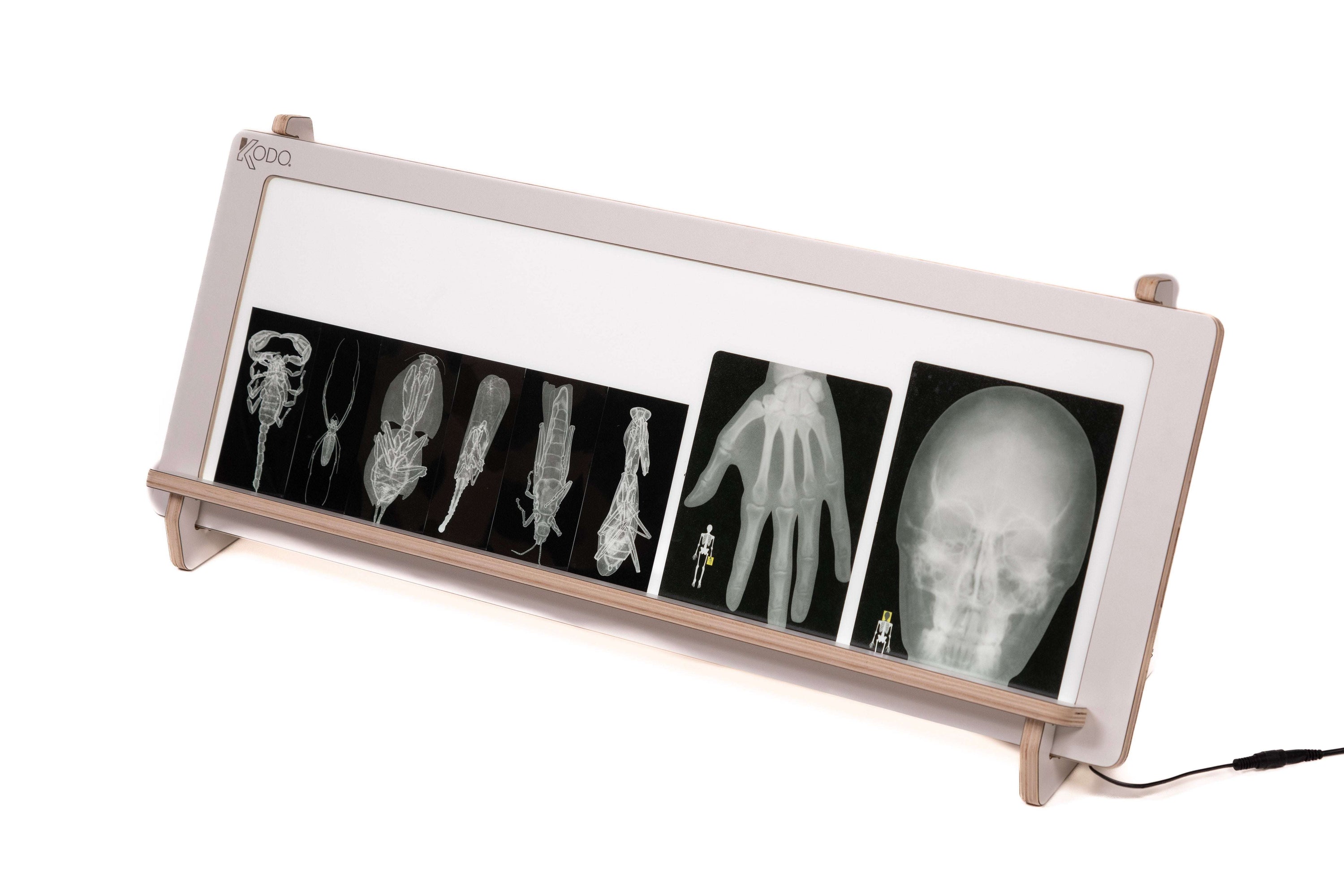 Shelf Top Light Panel – Kodo Kids