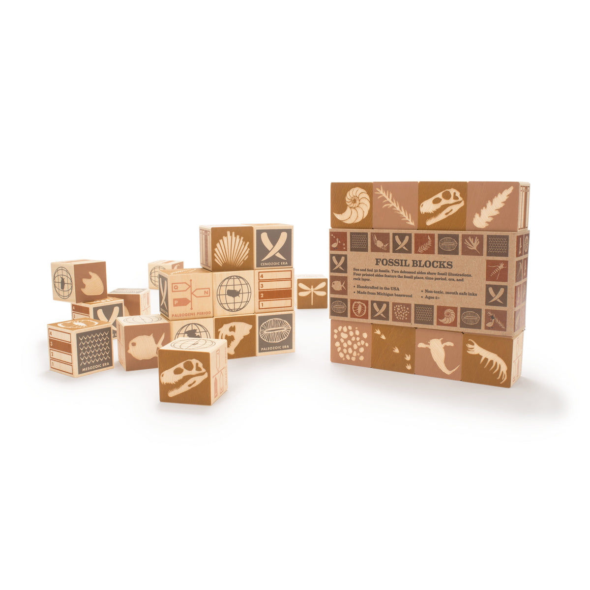Fossil Blocks for Dinosaur Enthusiasts - Kodo Kids