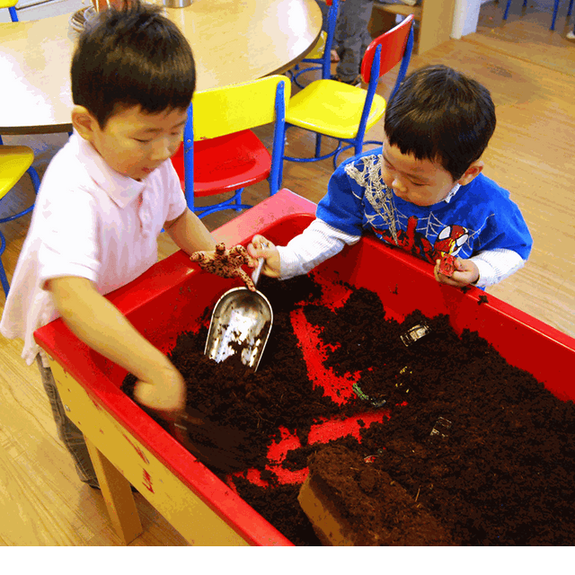 Kodo Coconut Play Set - Kodo Kids
