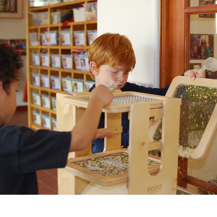 Sift & Sort Kits for Discovery - Kodo Kids