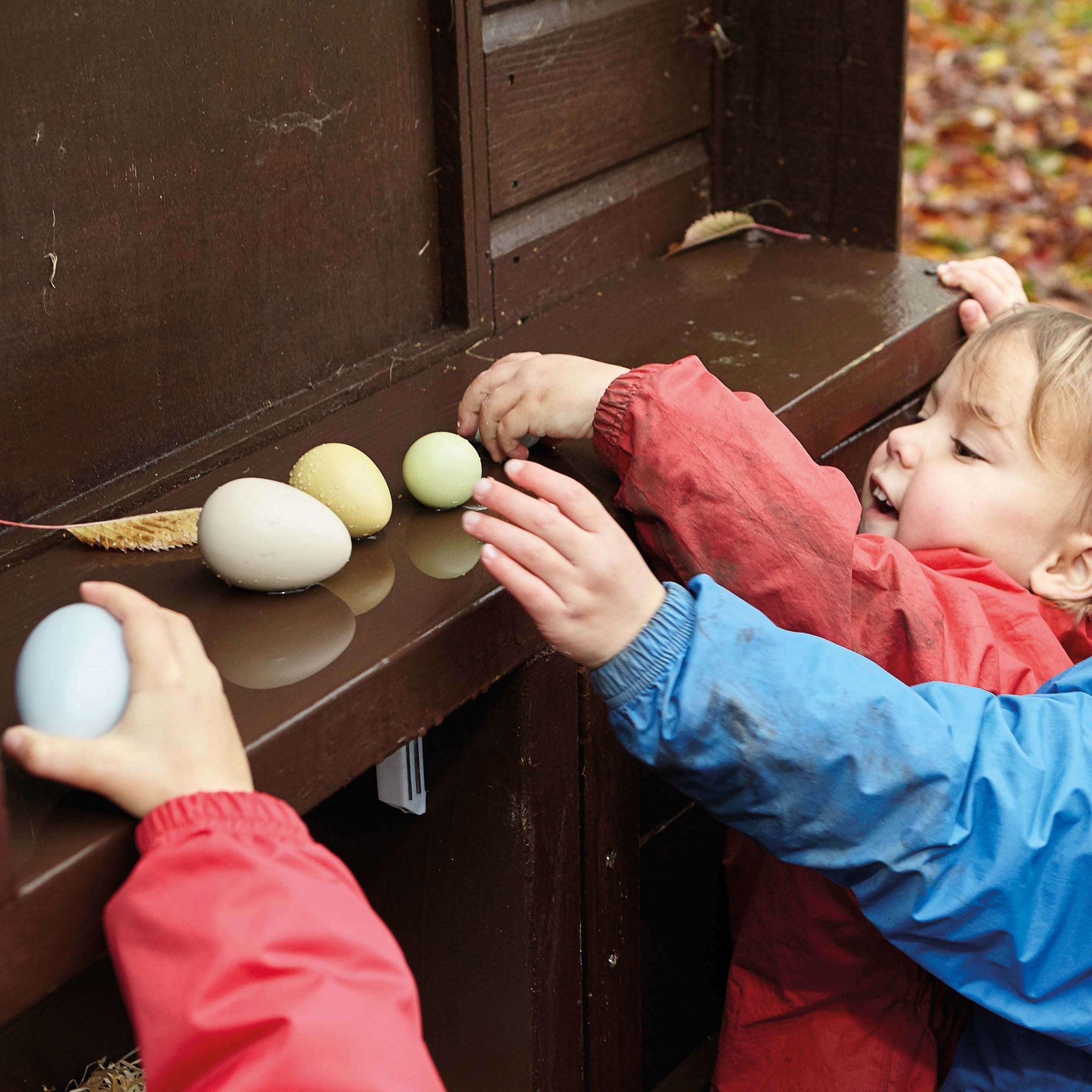 Sorting Eggs for Learning - Kodo Kids